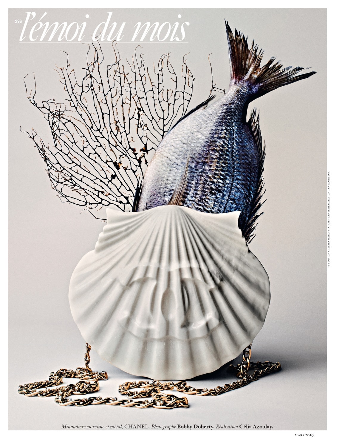 Bobby Doherty shoots for Vogue Paris — News — Mini Title