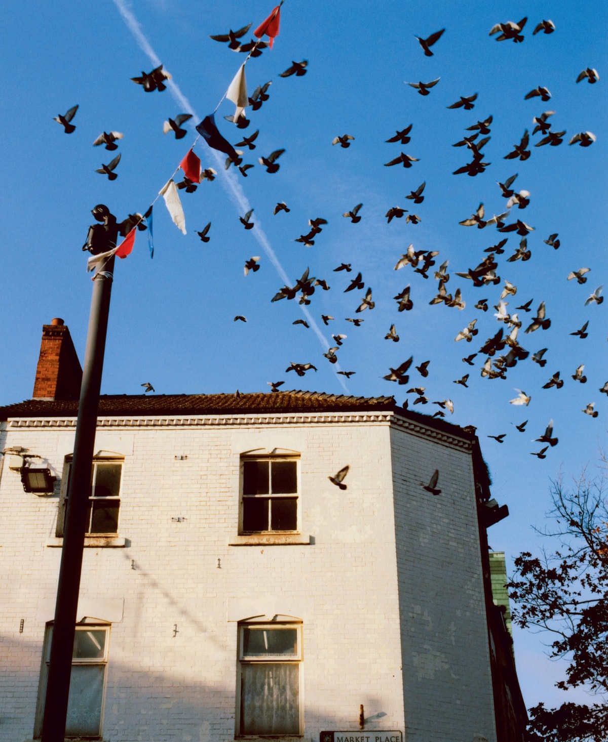 Tom Johnson shoots for M le Monde — News — Mini Title