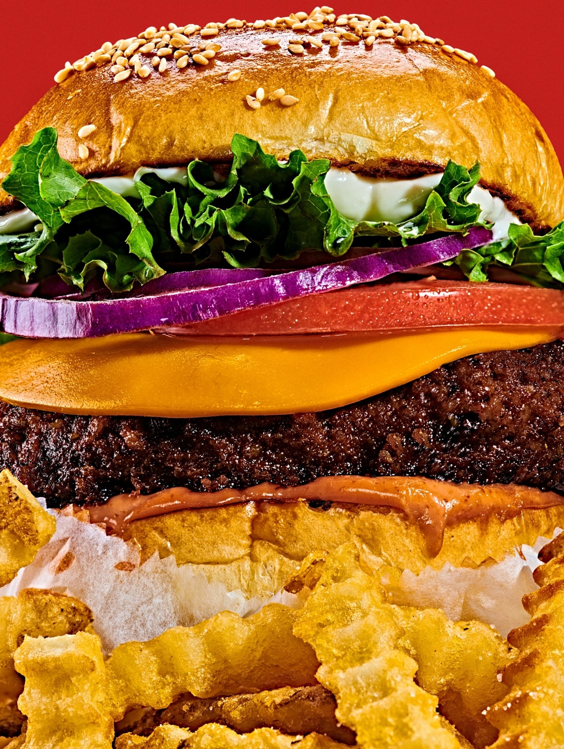 Bobby Doherty shoots for GQ France — News — Mini Title