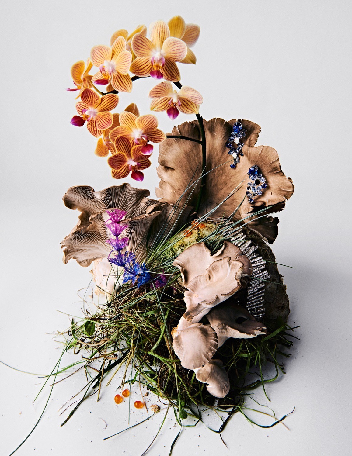 Bobby Doherty shoots for Vogue Germany — News — Mini Title