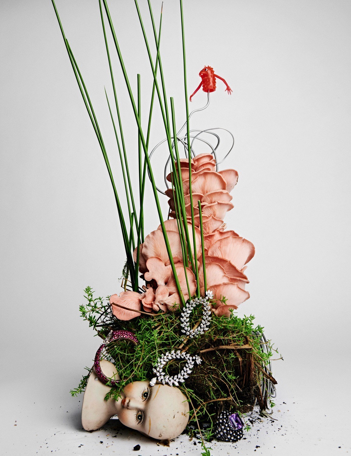 Bobby Doherty shoots for Vogue Germany — News — Mini Title