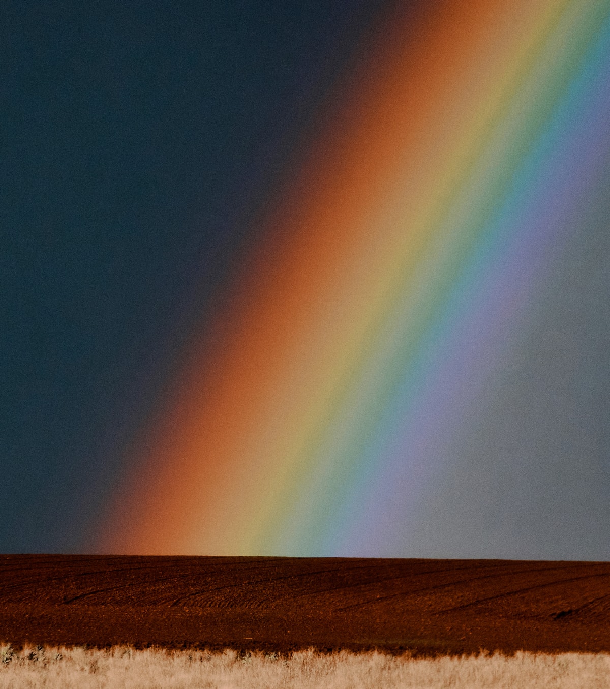 Jack Davison shoots Personal Work — News — Mini Title