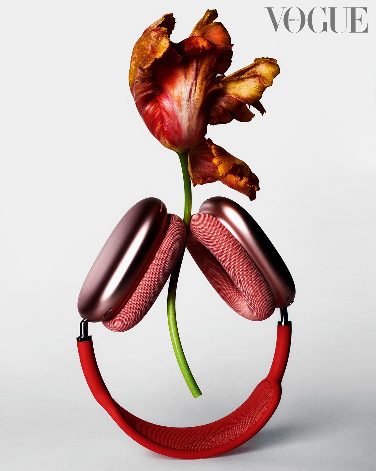 Bobby Doherty shoots accessories for British Vogue — News — Mini Title