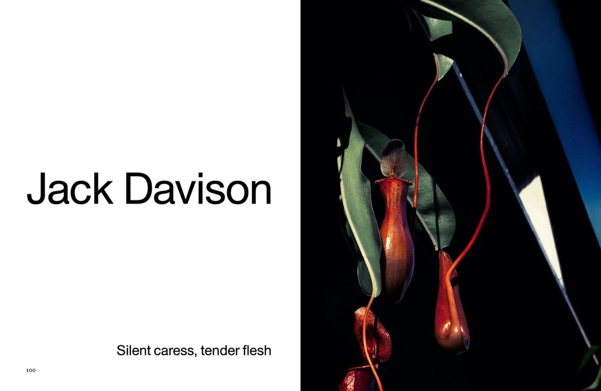 Jack Davison shoots cover for The Plant — News — Mini Title