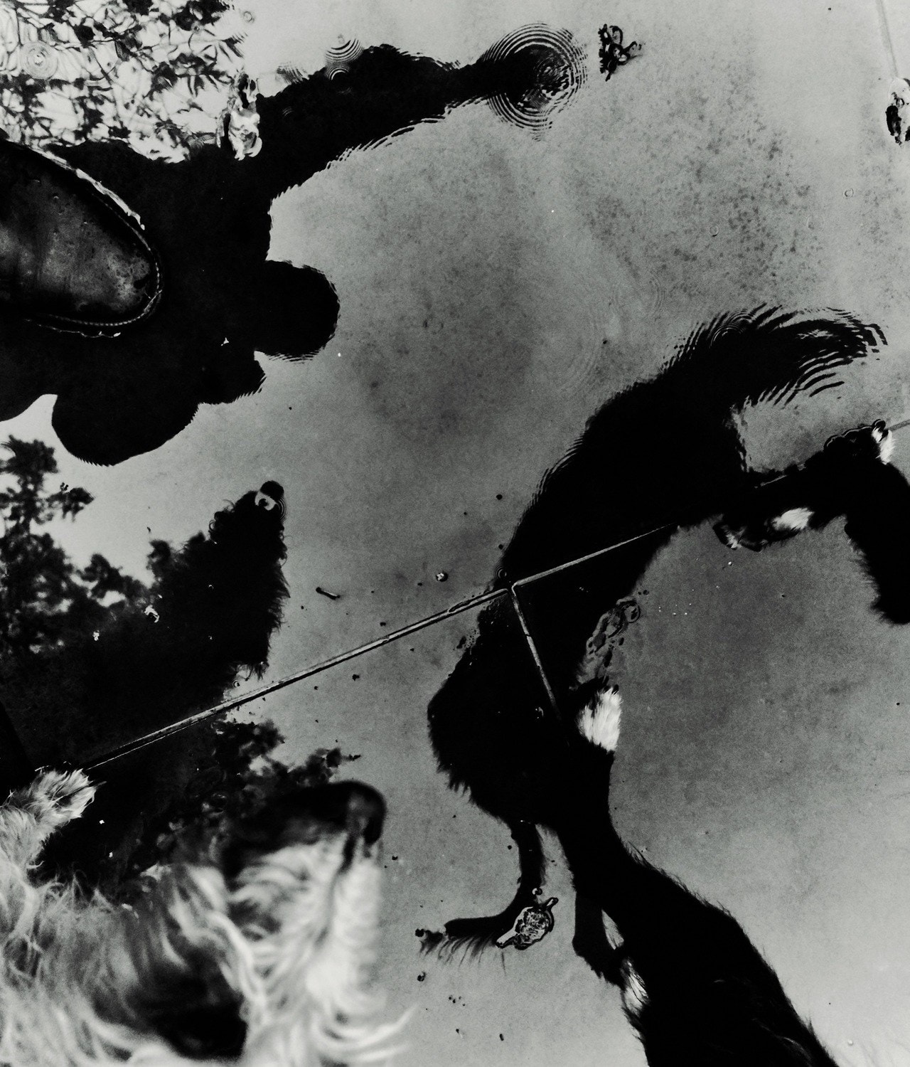 Jack Davison new Personal Work — News — Mini Title