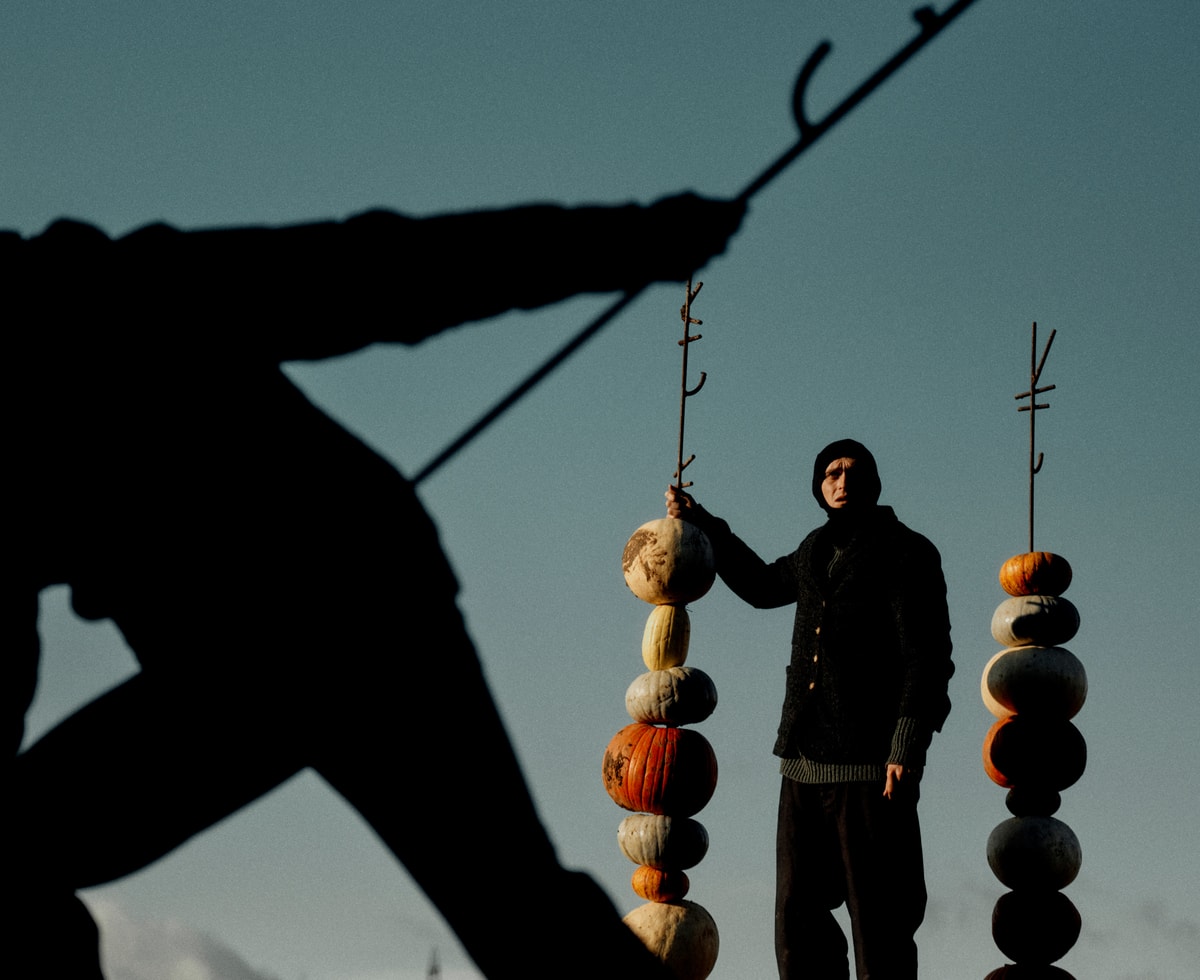 Portfolio — Jack Davison — Mini Title