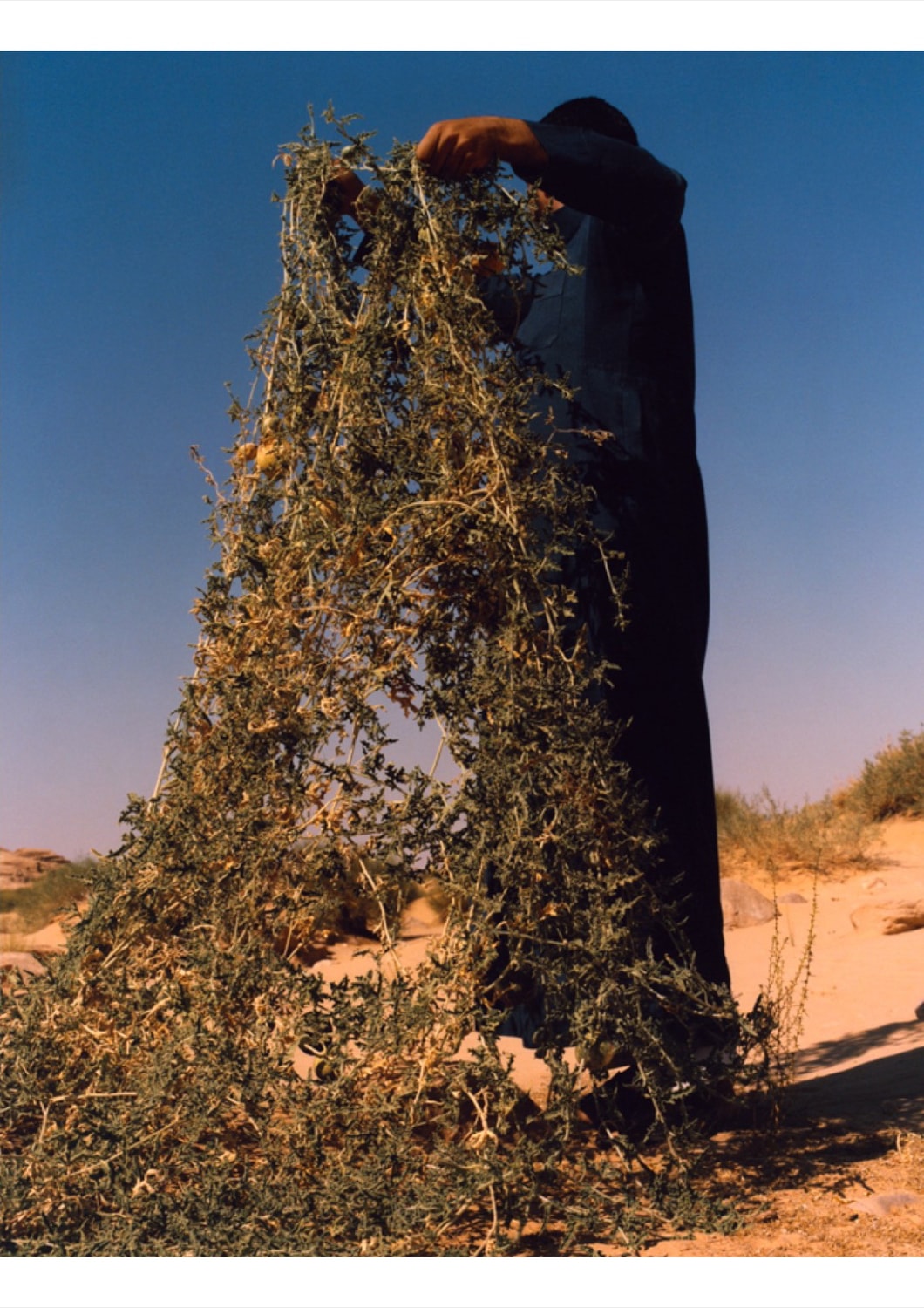 Tom Johnson shoots for The Plant — News — Mini Title