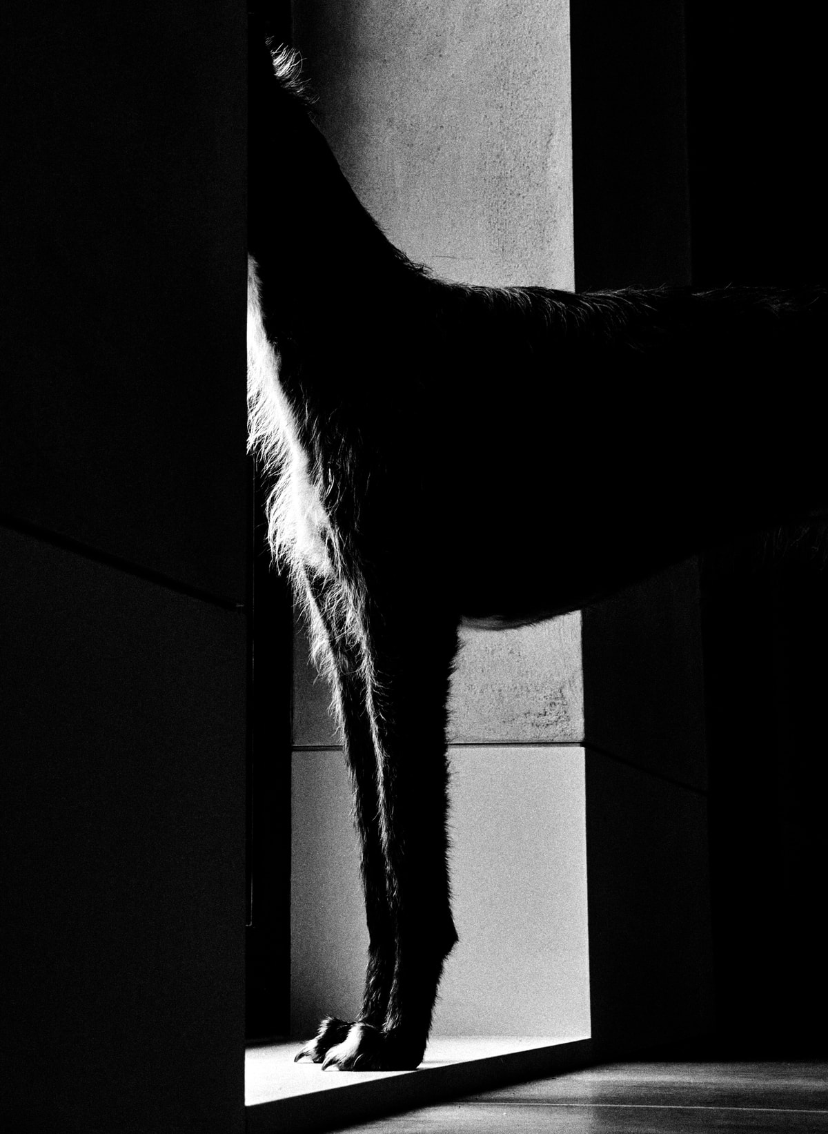 Jack Davison shoots Personal Work — News — Mini Title