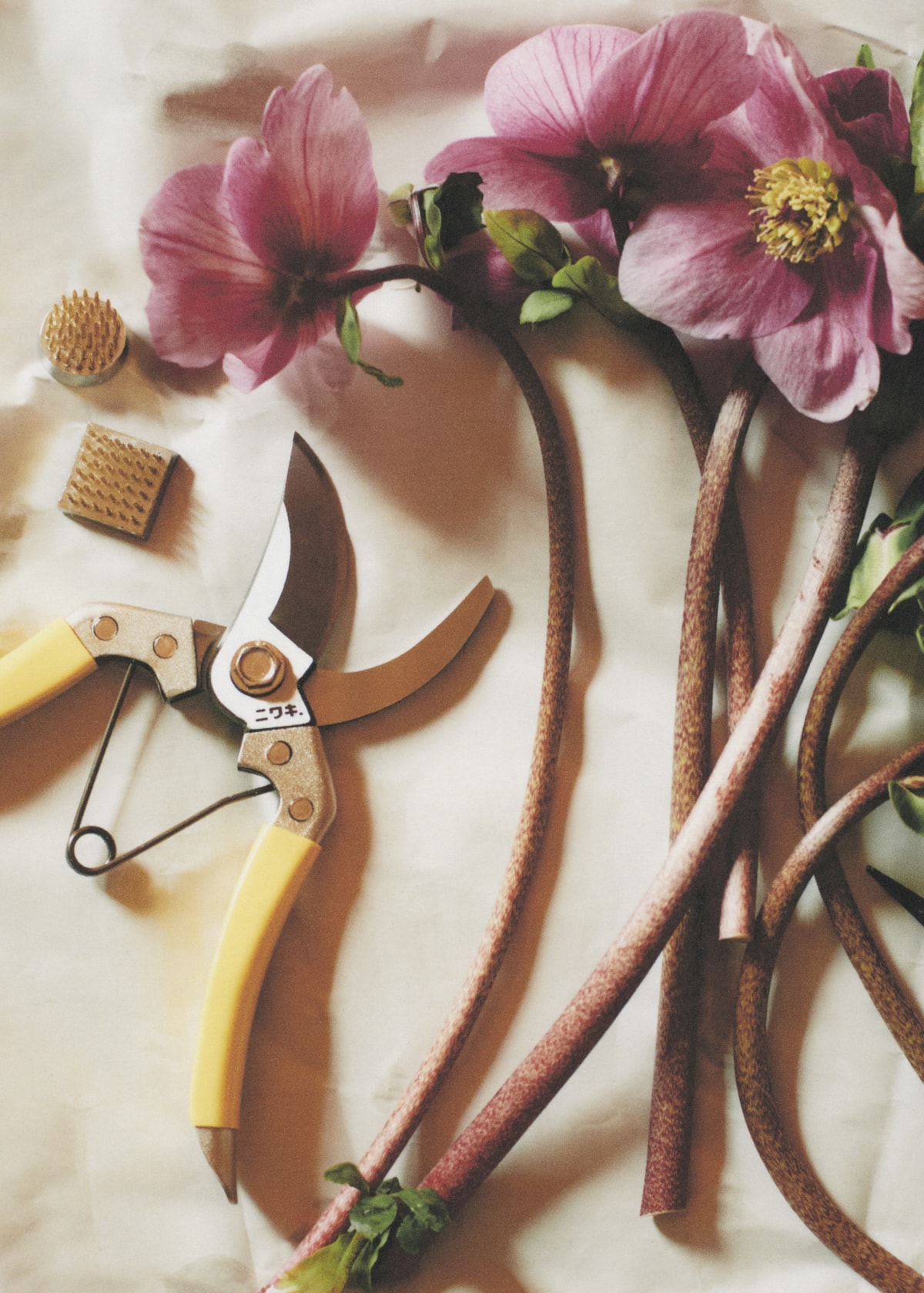 Noemi Bonazzi Set Design for Outline — News — Mini Title