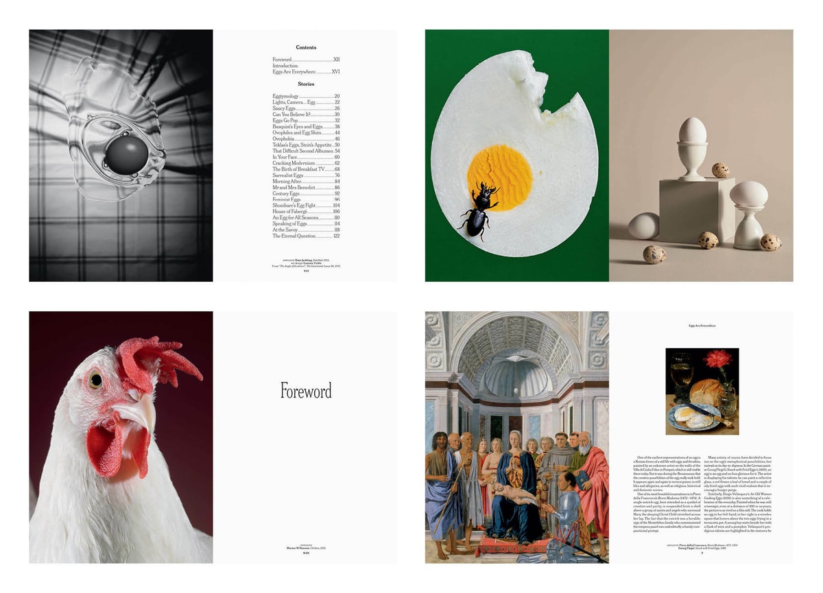 David Lane publishes The Gourmand's Egg — News — Mini Title